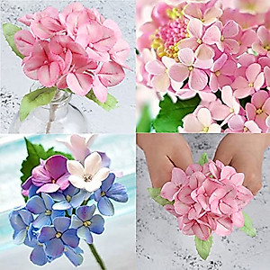 KALAIEN Sugarpaste Flower Veiner Fondant Cutters Set Hydrangea Cake Decorations Bakery Tool