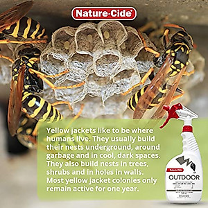 Nature-Cide Outdoor. Insecticide and Repellent. All Natural Pest Repellent, Roach, Spider, Mosquito and Ant Spray to Keep Your Home Safe. No Strong Odor. 32 oz