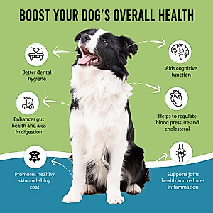 Caniclean Seaweed for Dogs Teeth - Dog Tartar Removal Tool, Plaque Remover, and Breath Freshener - Get Plaque Off Dogs Teeth Naturally. 14oz/396g.