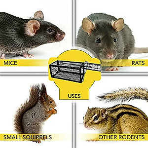 3 Pack Mouse Trap Catch Release Humane Animal Rodent Cage Trap Mice Rats Chipmunks Squirrel Easy to Use