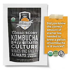 Fermentaholics ORGANIC Kombucha SCOBY With Twelve Ounces of Starter Tea - Live Starter Culture - Makes A One Gallon Batch - 1.5 Cups of Strong Mature Starter Tea - Brew Your Own Kombucha