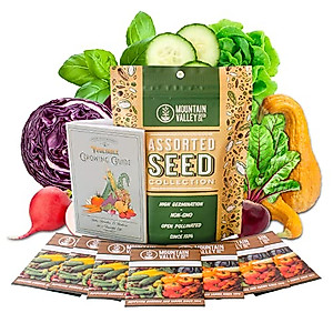 Summer Garden Heirloom Vegetable Seeds - ~5,000+ Total Seeds, 7 Varieties of Seeds to Sow in Summer Months - Beet, Lettuce, Radish, Basil, Cabbage, Cucumber, & Squash Heirloom Seeds for Planting