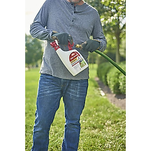 Ortho Home Defense Insect Killer for Lawn & Landscape Ready-To-Spray - Treats up to 5,300 sq. ft., Kills Ants, Ticks, Mosquitoes, Fleas & Spiders, Starts Killing Within Minutes, 32 oz.