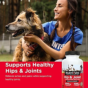 Nutri-Vet Hip & Joint Chewable Dog Supplements - Formulated with Glucosamine & Chondroitin for Dogs - 75 Count