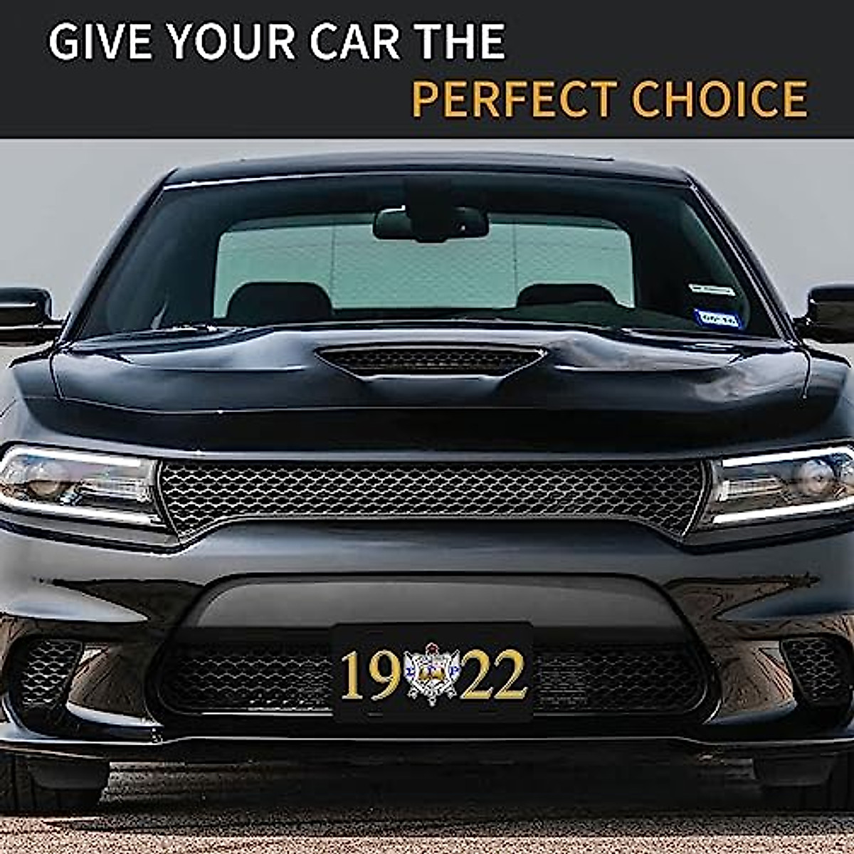 Sigma Gamma Rho License Plate 6" X 12", Automotive Aluminum Front and Rear Labels, Gift for Car Lovers