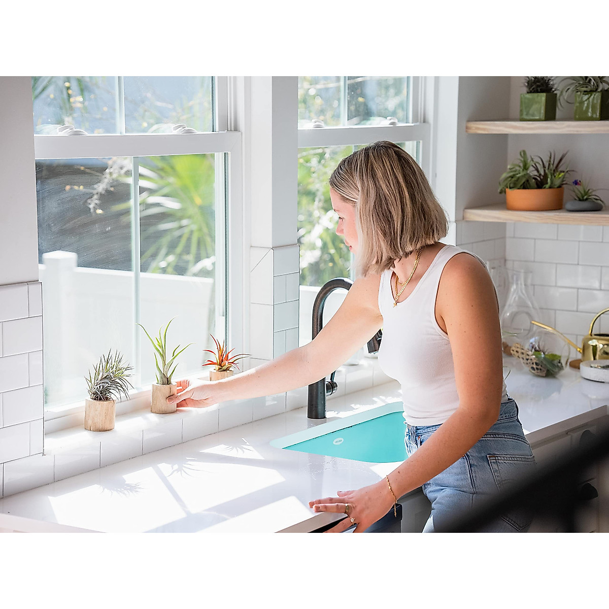 3 Pack Thick Colombian Spanish Moss Live Strands with Wire Hook - Live Tillandsia Succulent House Plants - Home and Garden Decor - Easy Care Indoor and Outdoor Plants