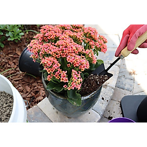 Pure Icelandic Potting Pumice, 10 lbs (8.5 quarts)