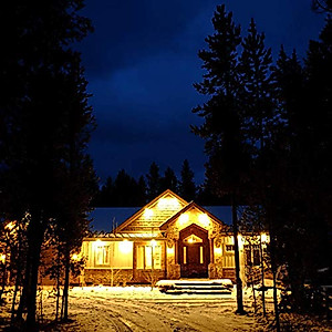 GLW 20W LED Landscape Lights 12V~60V AC/DC Flood Light Warm White 3000K Waterproof Garden Yard Path Lights Walls Trees Flags Outdoor Spotlights with Spike Stand (4 Pack)