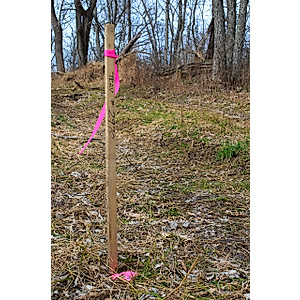 Brady Fluorescent Pink Flagging Tape for Boundaries and Hazardous Areas - Non-Adhesive Tape, 1.188" Width, 150' Length (Pack of 1) - 58354,Fluorescent Pink