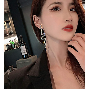 Denifery Snake Earrings Vintage Earrings Studs Dangle Earrings Long Silver Dangle Earrings Gold Snake Stud Earrings Snake Jewelry for Women (Silver F)