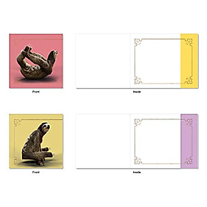 The Best Card Company - 10 Blank Yoga Note Cards (4x 5.12 Inch) - Boxed Notecards with Envelopes, Cute Animal Cards, Zen Assortment - Sloth Yoga AMQ6255OCB-B1x10