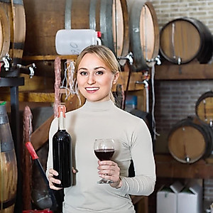 DLAND 3 Pack Stainless Steel Champagne Stopper, Bottle Sealer, Airtight and Leak-proof Stopper Protector (Silver,Black,Rose Gold)