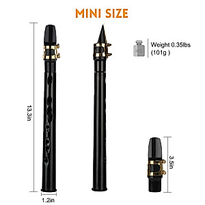 Pocket Saxophone Kit Mini Sax Portable Woodwind Instrument with Lid, Mouthpiece, Carrying Bag, Fingering Charts