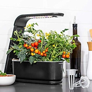 100 Pieces Grow Basket Plant Replacement Basket Plant Pod for Grow Sponges and Domes, Plant Growing Containers for Hydroponic Growing System