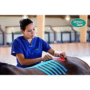 VETKIN VetkinTape® Veterinary Kinesiology Tape Orange | Kinesiology Tape for Horses & Dogs | Equine & Canine Kinesiotape | Latex Free and TÜV Quality Mark Certified Ktape | 1.2 inch | Pack of 2 Rolls