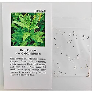 Herb Epazote FBA-0001 (Green) 100 Non-GMO, Heirloom Seeds