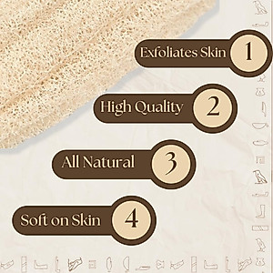 One Whole Egyptian Loofah 100% Natural SPA Beauty Bath Sponge Body Scrubber Puff. Premium Quality Lofa Loofa Luffa Loffa for exfoliating Your Skin.