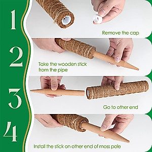 Pisol Moss Pole for Plants Monstera, Extendable Plant Sticks Support, Plant Stakes for Indoor Potted Plant, 15.7'' Coco Coir Pole Plant Trellis for Sphagnum, Pothos and Other Climbing Plants(2 PCS)