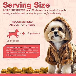 pawlife Arthritis Dog Joint Chews| Glucosamine, Chondroitin, Omega-3| MSM Support for Healthy Joints| 120ct Veterinarian Formulated Soft Chews| Up to 4-Month Supply