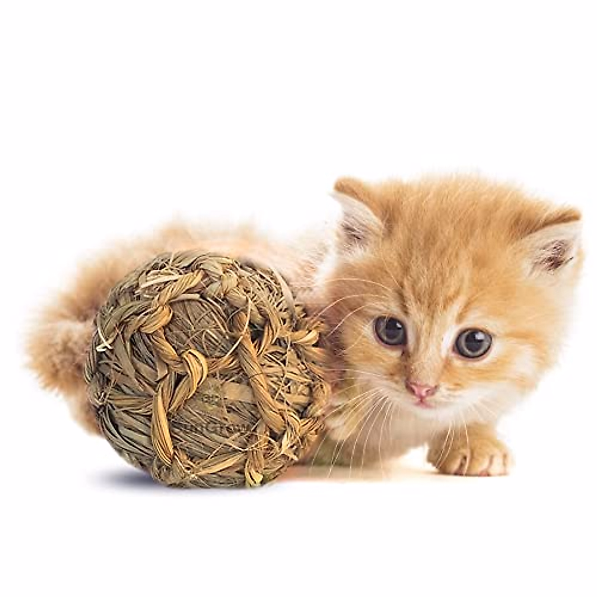 SunGrow Seagrass Balls for Rabbit, for Pet’s Gums & Teeth, Chewable Teething Activity Toy for Gerbils, Guinea Pig, Dwarf Bunny, 1 Pc