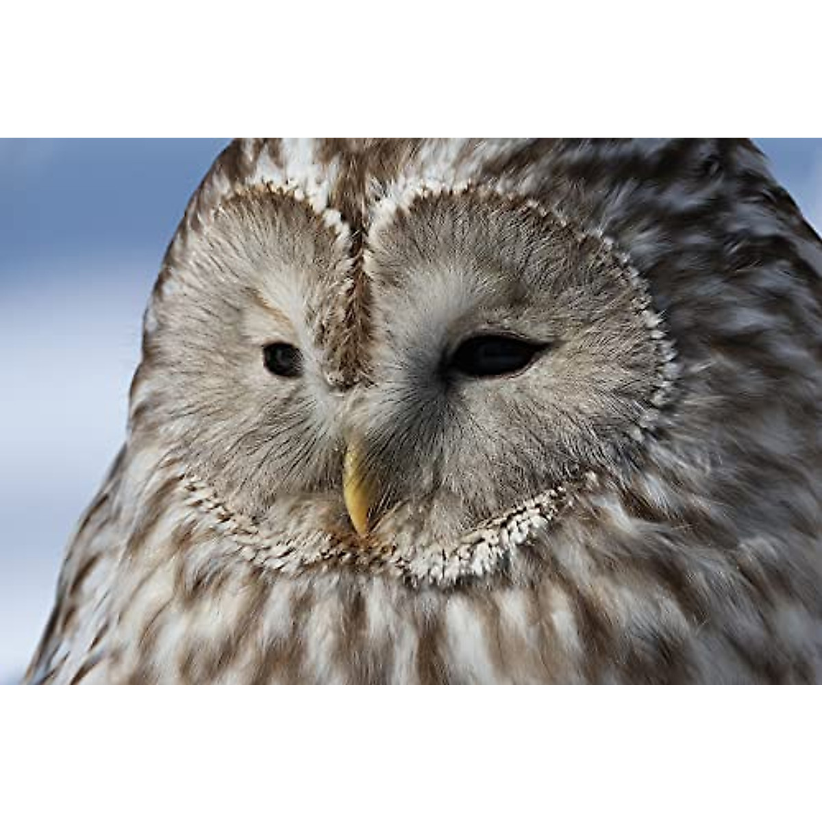 Canon EOS R7 Mirrorless Camera with RF-S 18-150mm Lens Kit