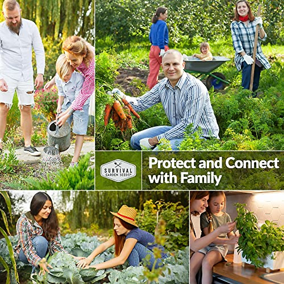 Survival Garden Seeds - Aunt Ruby’s German Green Tomato Seed for Planting - Pack with Instructions to Plant & Grow Delicious Green Tomatoes in Your Home Vegetable Garden - Non-GMO Heirloom Variety