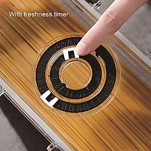 2Pcs Pasta Storage Container, Plastic Spaghetti Food Storage Box, Noodle Canister With Lid for Spaghetti, Noodles, Pasta, Eggs, Fruits Snacks (Size : 11.4L)