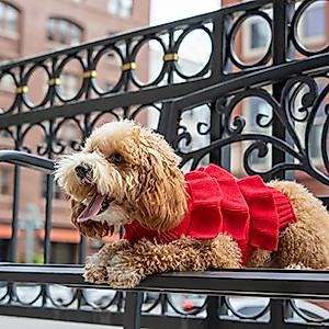 Christian Siriano New York Red Ruffle Sweater, XS