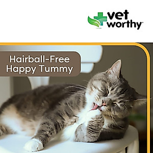 Vet Worthy Hairball Paw Gel Aid for Cats - Hairball Remedy for Cats for Digestive Aid and Hairball Relief --Easy to Give - Salmon Flavor - 3 oz