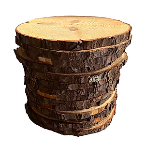 Set of (10) 8-9 inch Wood Slices for centerpieces! Wood Slice centerpieces, Wood Rounds, Tree Slices (8 inch)