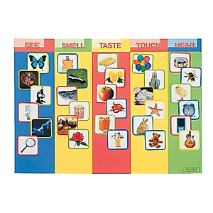 Five Fun Senses Make A Sticker - 12 Pieces - Educational and Learning Activities for Kids