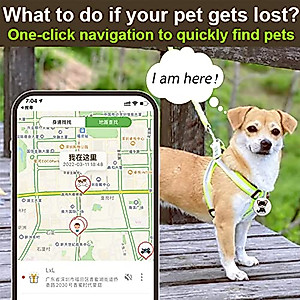Waterproof GPS Pet Tracker, Item Locator, Buzzer with LED Light, Find Lost Pet Cats, Dogs or Items, Collars, Ropes and Keys Available, Pattern: Cat 1 Piece