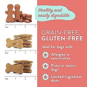 Portland Pet Food Company Healthy Dog Treats Variety 3-Pack - Grain-Free, Human-Grade, Gingerbread, Pumpkin and Bacon Dog Treats Multipack - Natural Dog Training Treats & Biscuits Made in the USA Only