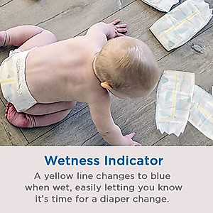 Amazon Brand - Mama Bear Plush Protection Diapers, Hypoallergenic, Size 5, 124 Count (4 Packs of 31), White and Cloud Dreams