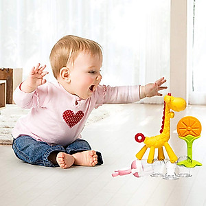 HONGTEYA Teething Toys for Babies 0-6 Months 6-12 Months 6 Pack- 4 Teethers, 2 Fruit Feeders for Newborn Infants BPA Free Natural Organic Freezer Silicone Baby Teethers Set(Pink)