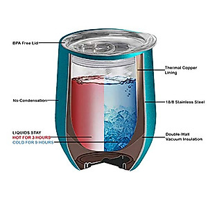 Fancyfams She Believed She Could So She Did - Congratulations Gifts - Graduation Gifts for Her - 12 oz Stainless Steel Wine Tumbler (Turquoise)