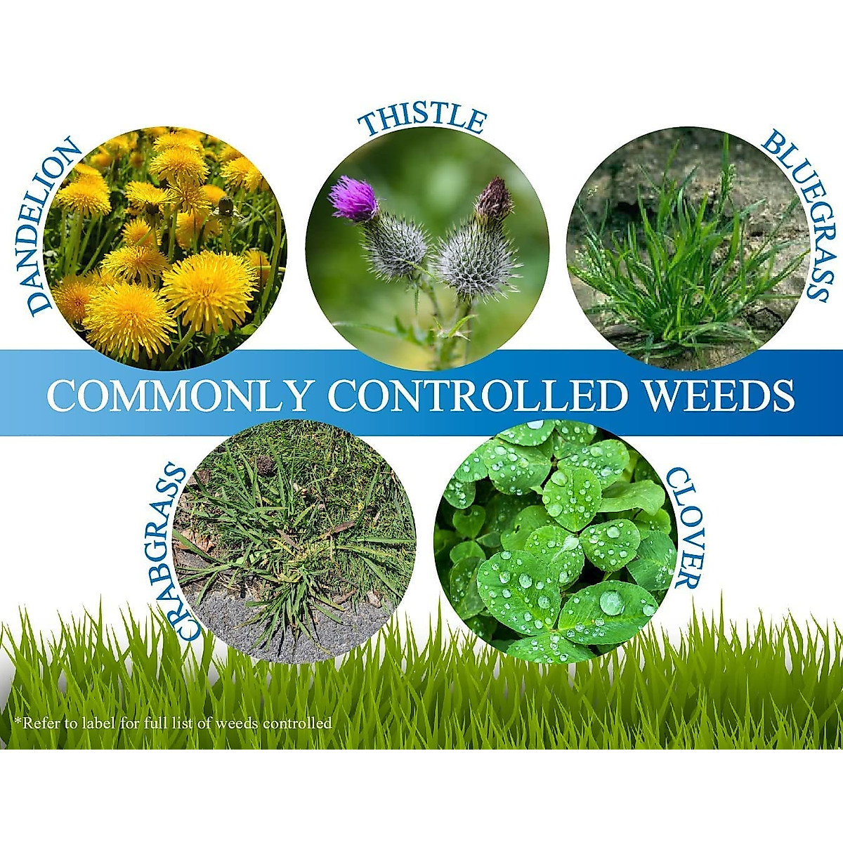 Liquid Harvest Lazer Blue Spray Pattern Indicator 32 oz, Surfactant 32 oz, and Mesotrione 32 oz Bundle for Effective Weed Control