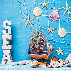 Queekay 15 Pieces Resin Starfish Sand Dollars 2.0 Inch Starfish 4.7 Inch Starfish 2.3 Inch Sand Dollars Crafts Ocean Themed Glittered Coastal Decorations for Christmas Wedding Party Decor Supplies