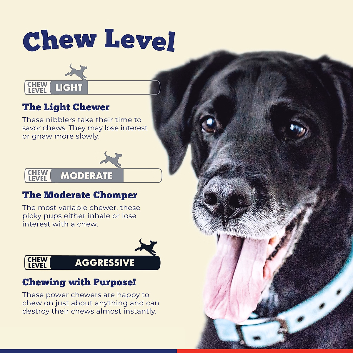 CHEWY LOUIE Large Meaty Bone 3pk - One Ingredient, Flavor Packed for Picky Eaters, All Natural, No Artificial Flavors or Chemicals, Long-Lasting, Superior Dental Support Dog Treats.