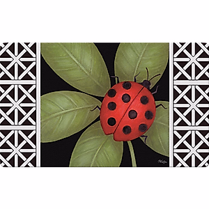 Toland Home Garden 800054 Ladybug Summer Door Mat 18x30 Inch Outdoor Doormat for Entryway Indoor Entrance