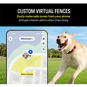 Fi Series 3 Smart Dog Collar - GPS Dog Tracker and Activity & Health Monitor, Waterproof, LED Light, Escape Alerts, Nationwide Coverage [Free 1 Year Membership] (Blue, Large)