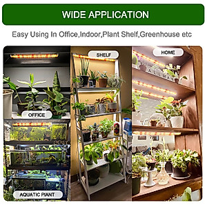 Grow Light for Indoor Plants Abonnyc 96 LEDS Plant Grow Light Strips 10 Inch Warm White Light & Red Light Full Spectrum with Auto On/Off Timer Sunlike Small Grow Lamp for Hydroponics Succulent, 4 Bars