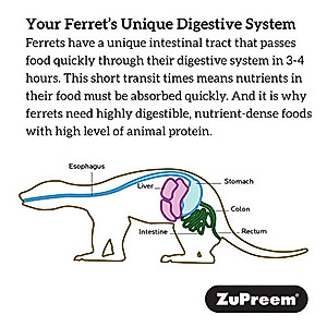 ZuPreem Premium Daily Ferret Food, 8 lb - Made in USA, Complete Nutrition Diet, Highly Digestible, No Corn