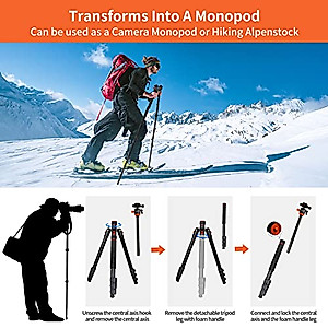 Nietoto New Professional Camera Tripod, Aluminum Travel Tripod for Camera, DSLR Camema Tripod, Compact Professional Camera Tripod Monopod with 360 Panorama Ball Head, 1/4 QR Plate, Carry Bag