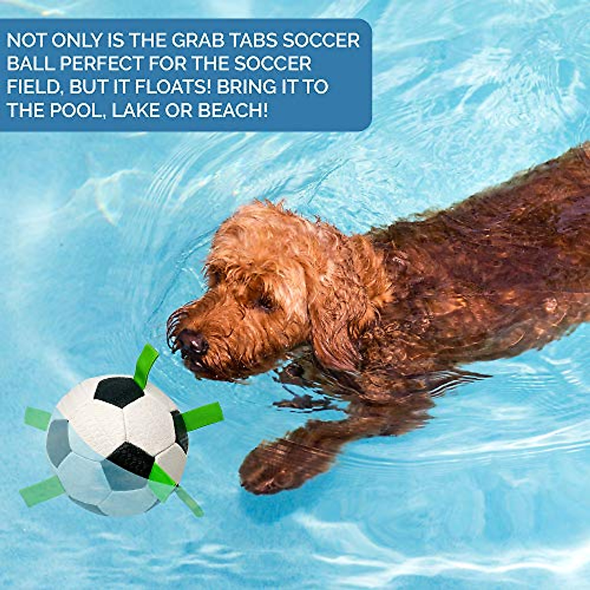 Hyper Pet The Original Quality Grab Tabs Dog Soccer Ball & Dog Football (Indoor-Outdoor Interactive Dog Toy Dog Balls with Easy Grab Tabs) Fun Dog Tug Toy and Dog Ball - 5"