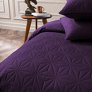 Whale Flotilla Queen Quilt Bedding Set, Soft Purple Bedspreads Quilts Queen Size for All Seasons, 3 Pieces Lightweight Geometric Star Pattern Coverlet