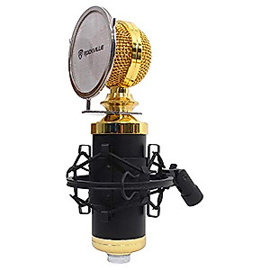 Rockville RCM02 Pro Studio Recording Condenser Microphone Mic+Metal Shock Mount, Black
