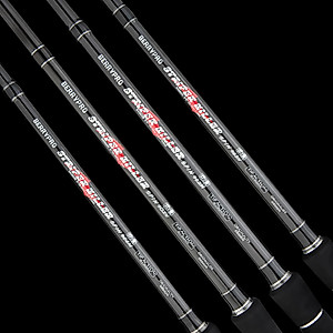 BERRYPRO Light Surf Spinning Rod Striper Fishing Rod Striped Bass Surf Rod (9'/9'6'') (9'6''-Medium (10-20lbs))