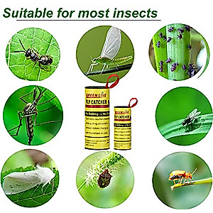 24 Rolls Fly Strips - Fly Tapes Fly Paper Sticky Fly Trap Indoor/Outdoor Hanging,Fly Catcher Fly Ribbon Fungus Gnat Trap Fruit Fly Killer for House/Kitchen/Plants/Horse Stable