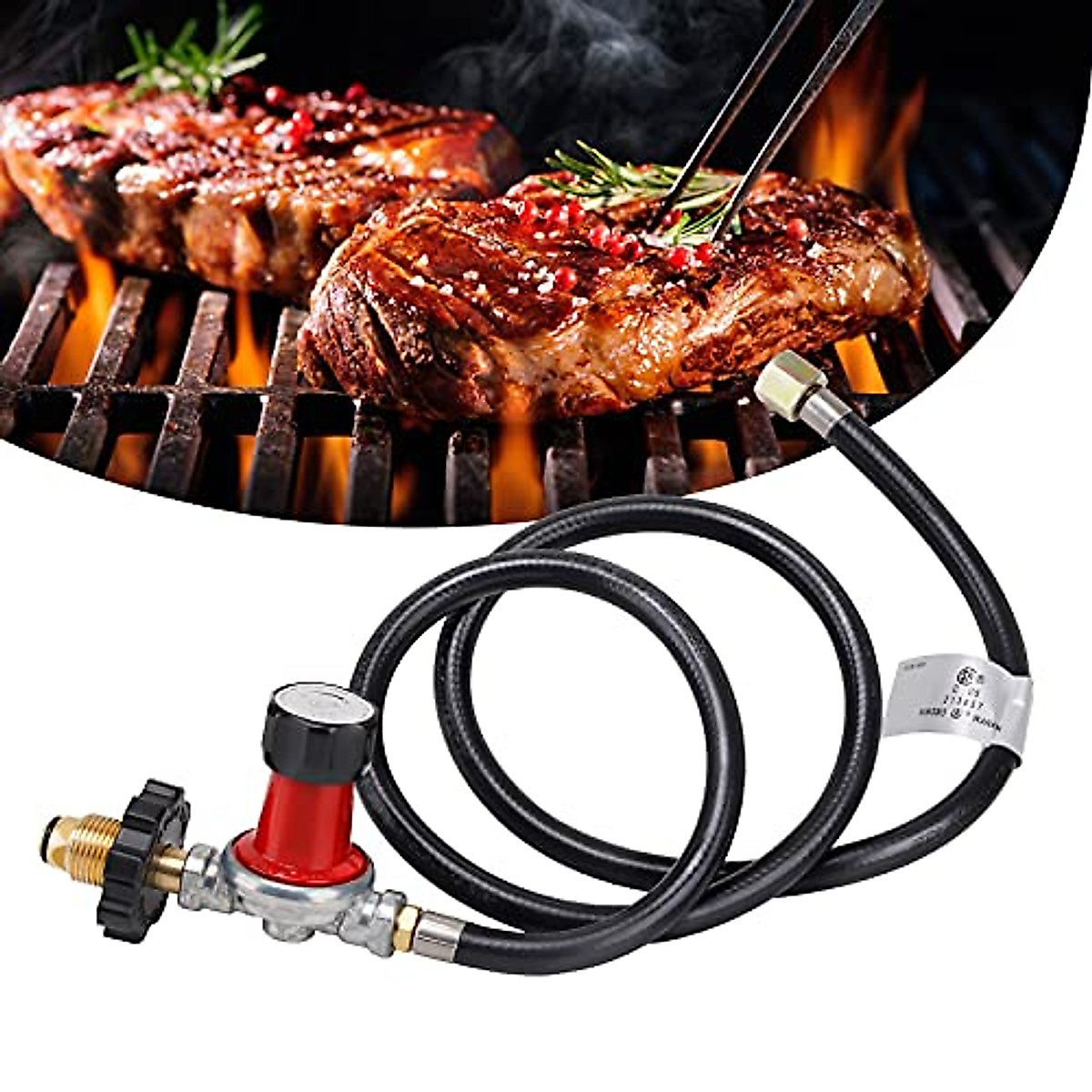 Stanbroil 0-30 PSI High Pressure Adjustable Regulator POL Connection and 48-Inch Hose Assembly Kit